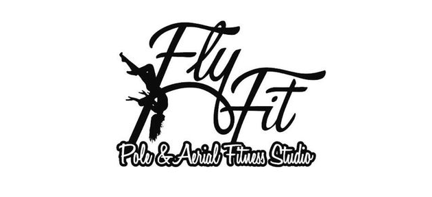 Fly Fit Pole and Aerial Fitness Studio, Kalamazoo, MI | Wellness Center ...